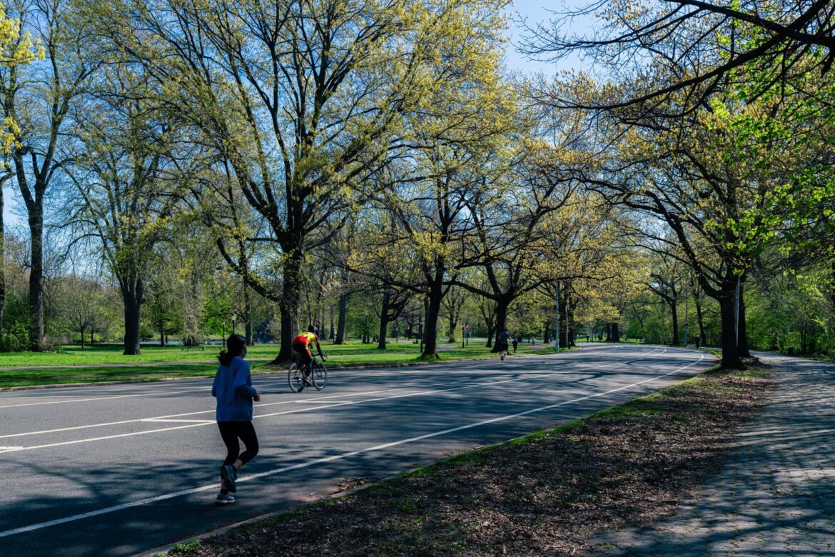 Best Things to do in Prospect Park in Brooklyn - Your Brooklyn Guide