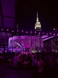 34 Best Bars & Rooftop Restaurants in NYC with VIEWS! - Your Brooklyn Guide